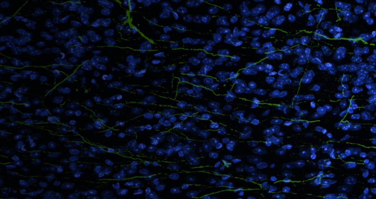 Science | Science Corporation