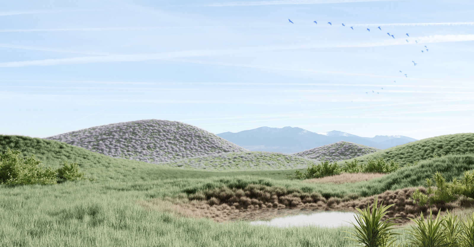 Nixels and Pixels: Introducing Science's Chip Families for Neural ...